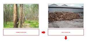 SMR 10 and SMR 20 - KLPK Sdn. Bhd. Official Portal