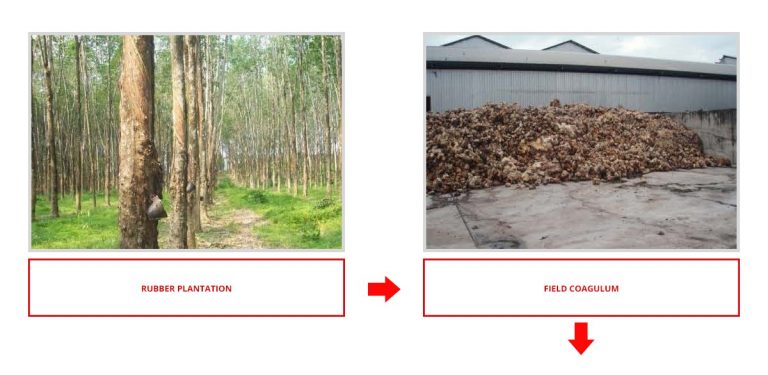 SMR 10 and SMR 20 - KLPK Sdn. Bhd. Official Portal