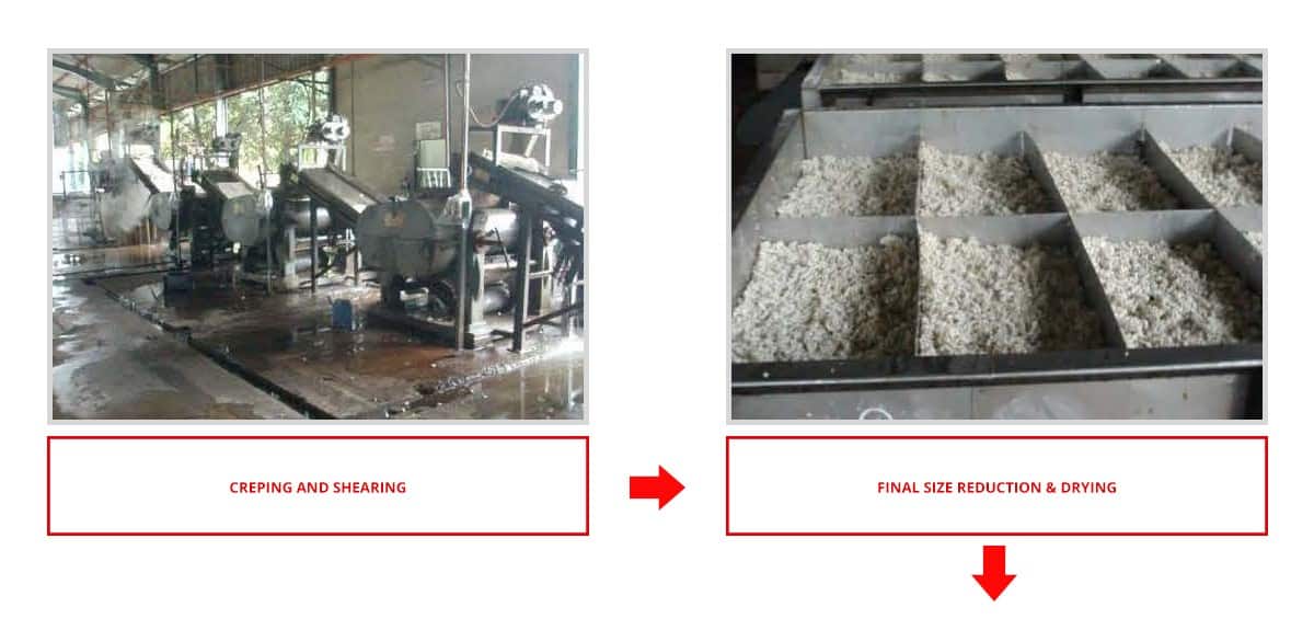 SMR 10 and SMR 20 - KLPK Sdn. Bhd. Official Portal